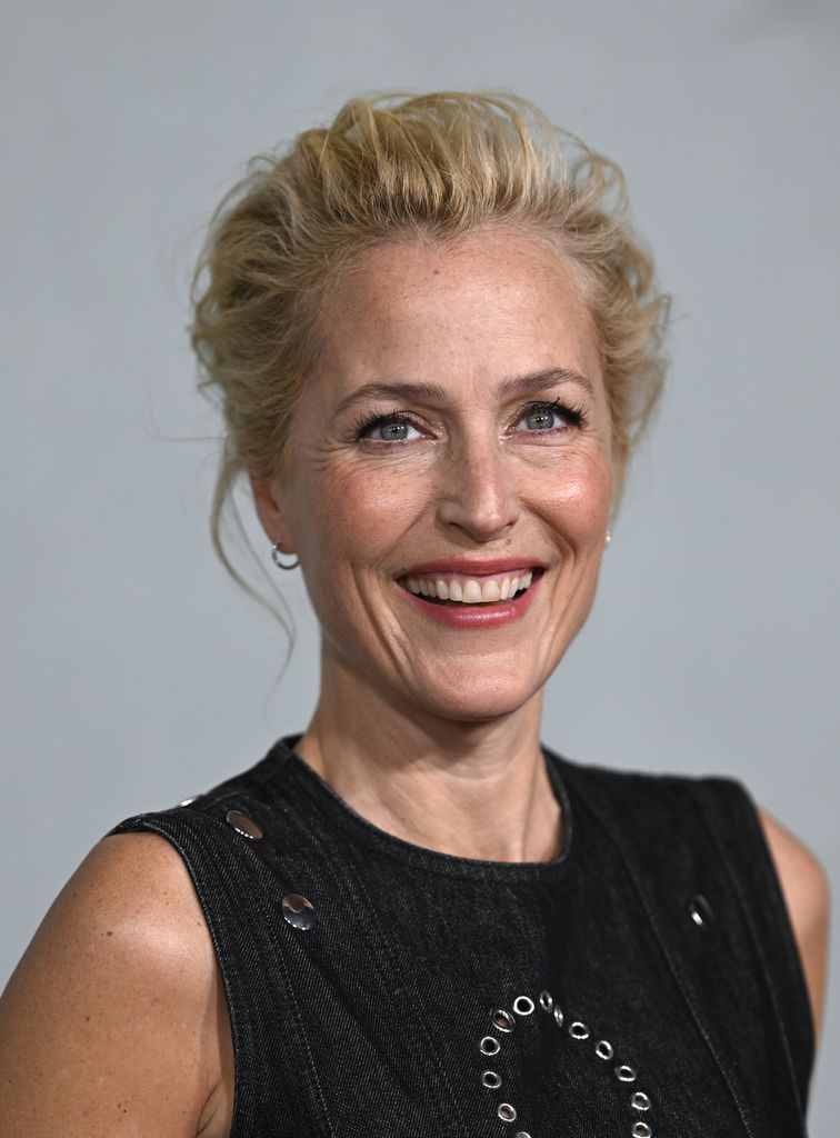 David Duchovny Gillian Anderson Pedra Rolante Gillian Anderson Und