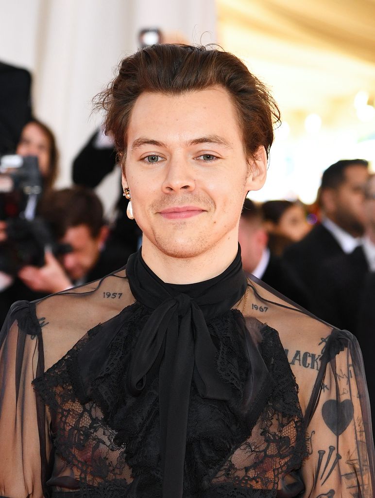 Harry Styles Und Seine Katze Dusty