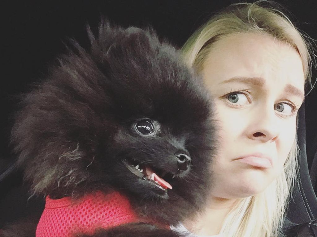 Kleiner Quäl-Geist: Hündchen Zula hält Dagi Bee auf Trab! | Promiflash.de