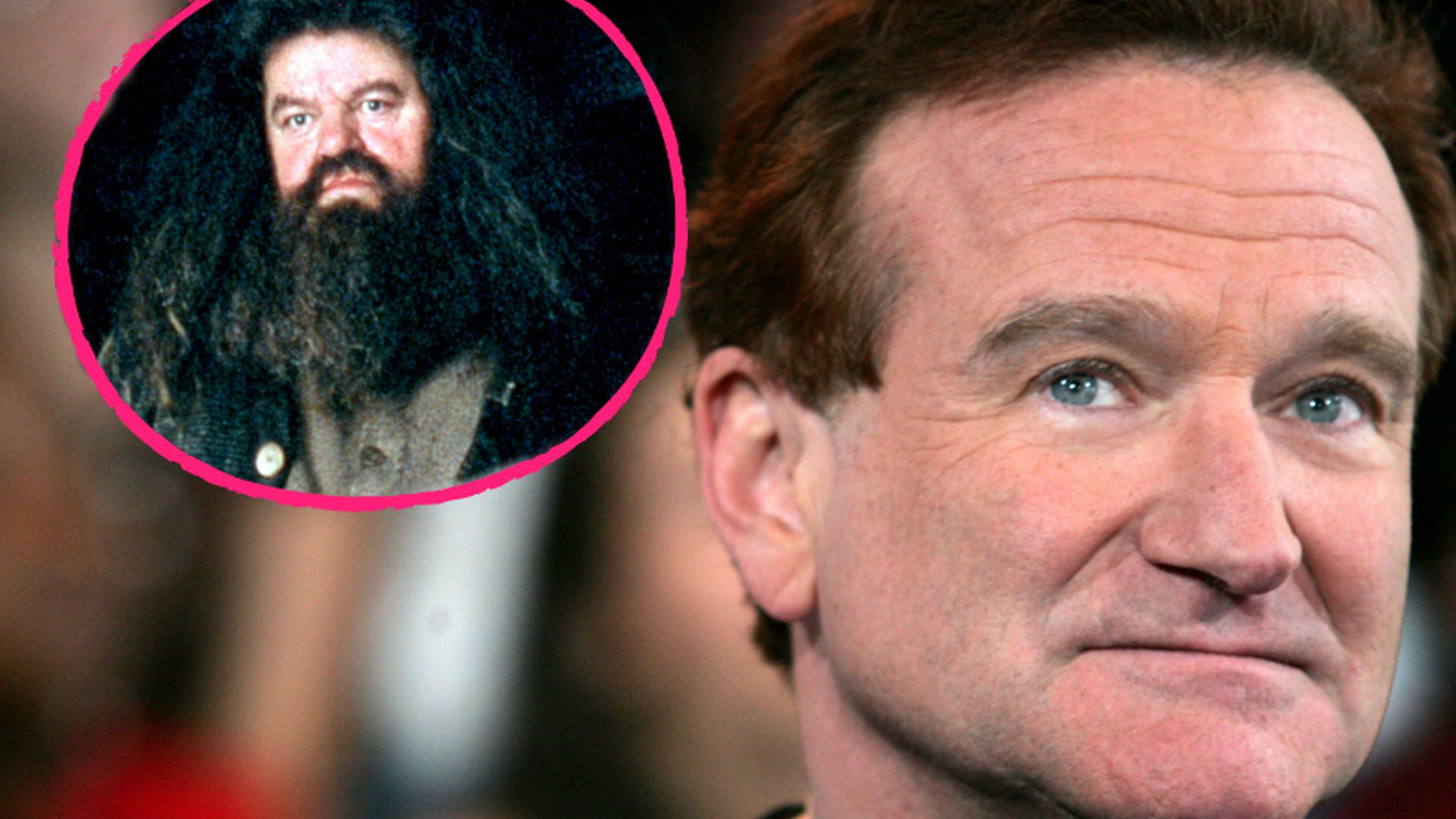 Robin Williams ( ) wurde "Harry Potter"-Rolle verweigert! | Promiflash.de