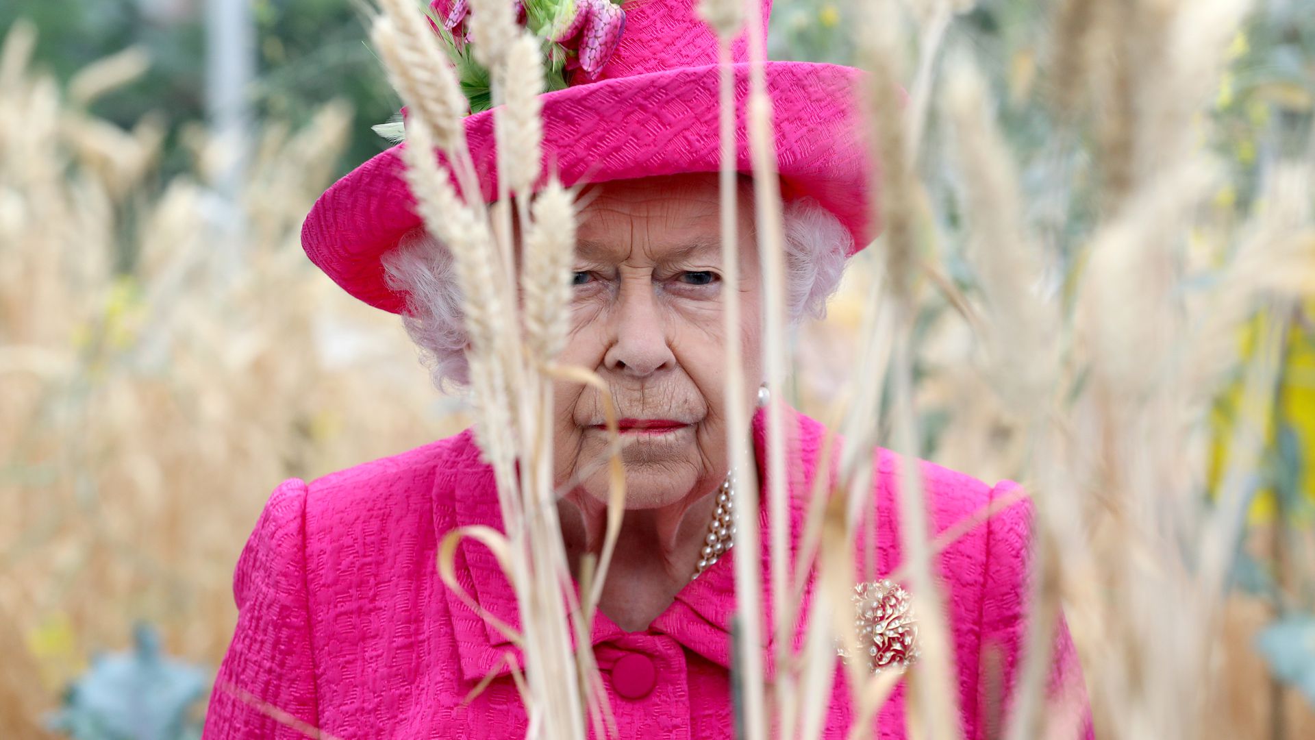 Royaler Schock: 22-Jähriger bricht bei Queen Elizabeth ein!