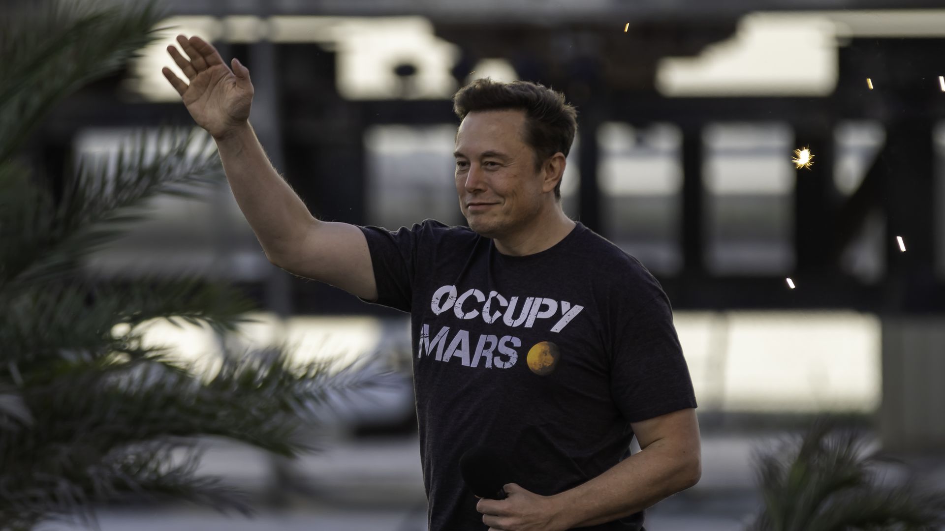 Tschüss Twitter? Elon Musk lässt über Rücktritt abstimmen