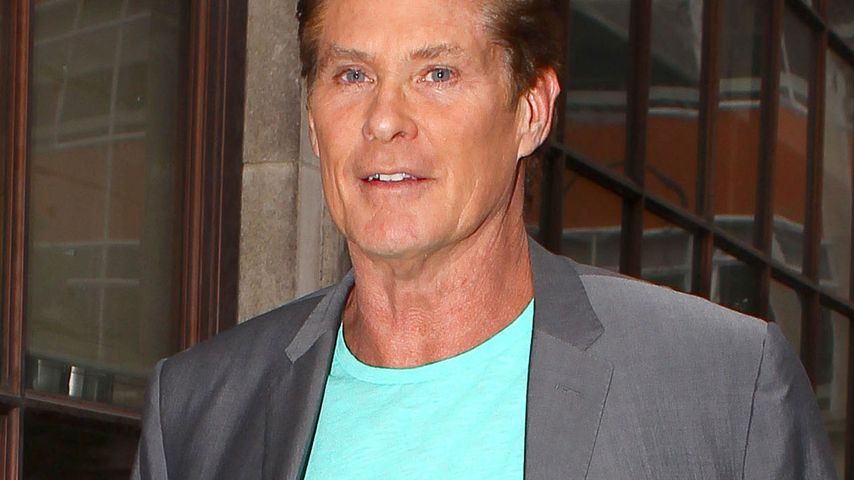 The Hoff-Quiz: Wie gut kennt ihr David Hasselhoff? | Promiflash.de