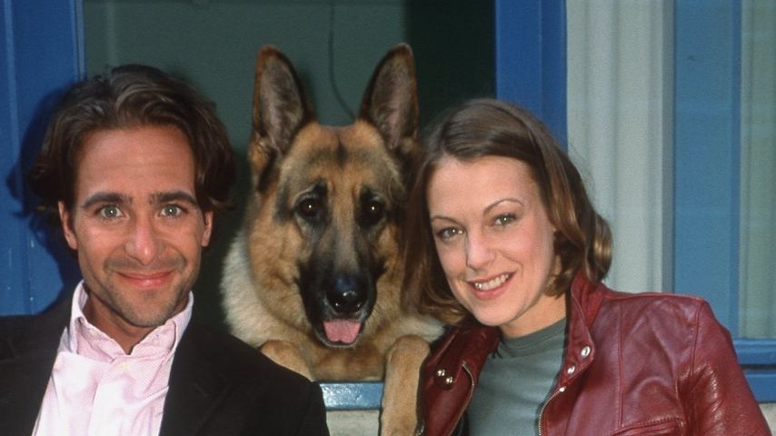 Wau! Kommissar Rex ermittelt wieder im TV | Promiflash.de