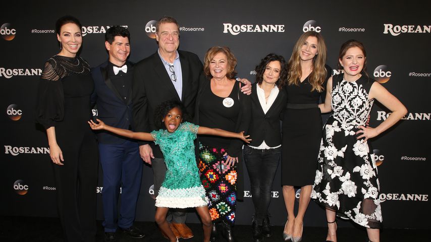 Doch dabei! Johnny Galeckis kurzer Auftritt in "Roseanne" | Promiflash.de