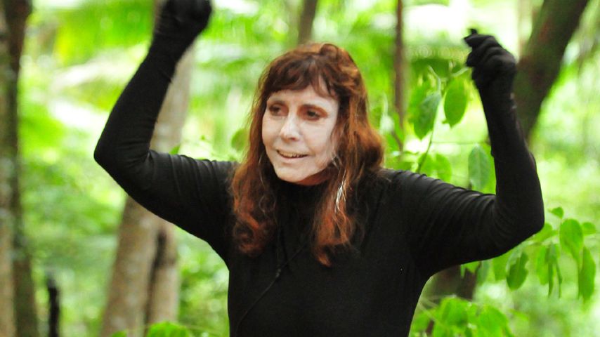 Tina York: Sehen wir den Dschungel-Liebling nun öfter im TV ...